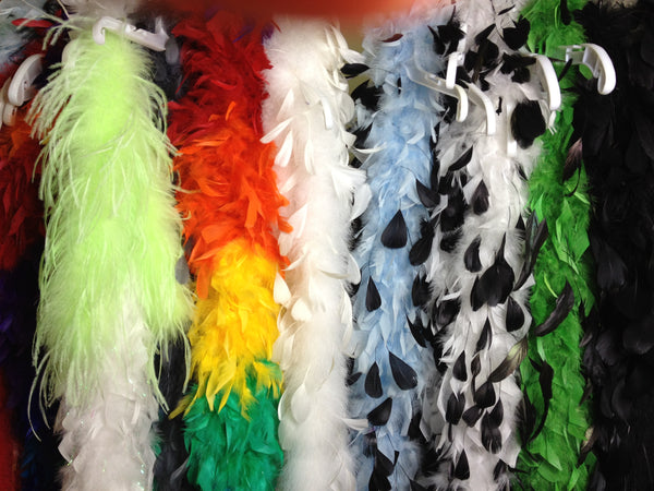 Products - my feather plus